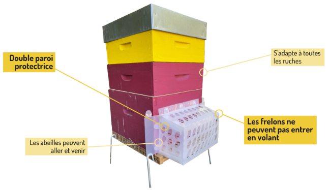 GDSA 47 Protéger les ruches des frelons asiatiques